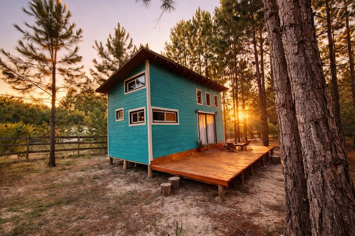 Refugio En El Bosque – Cabaña En Punta Del Diablo - Uruguay