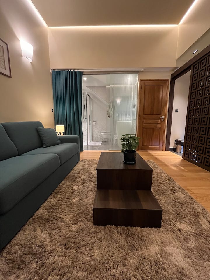 Charmant Studio Place Théâtre - Dijon