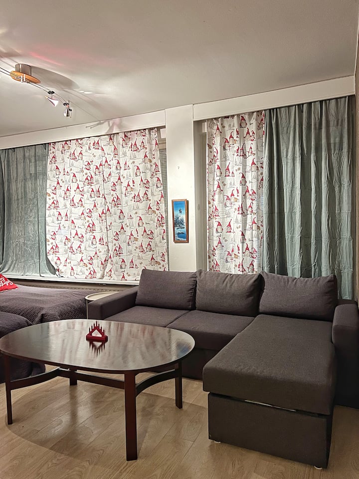 Central Budget Accommodation - Rovaniemi