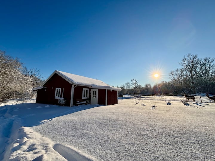 Mysig Stuga På Landsbygden - Sweden