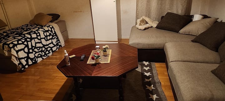 Ett Rum Nära Uppsala Centralen. - Uppsala