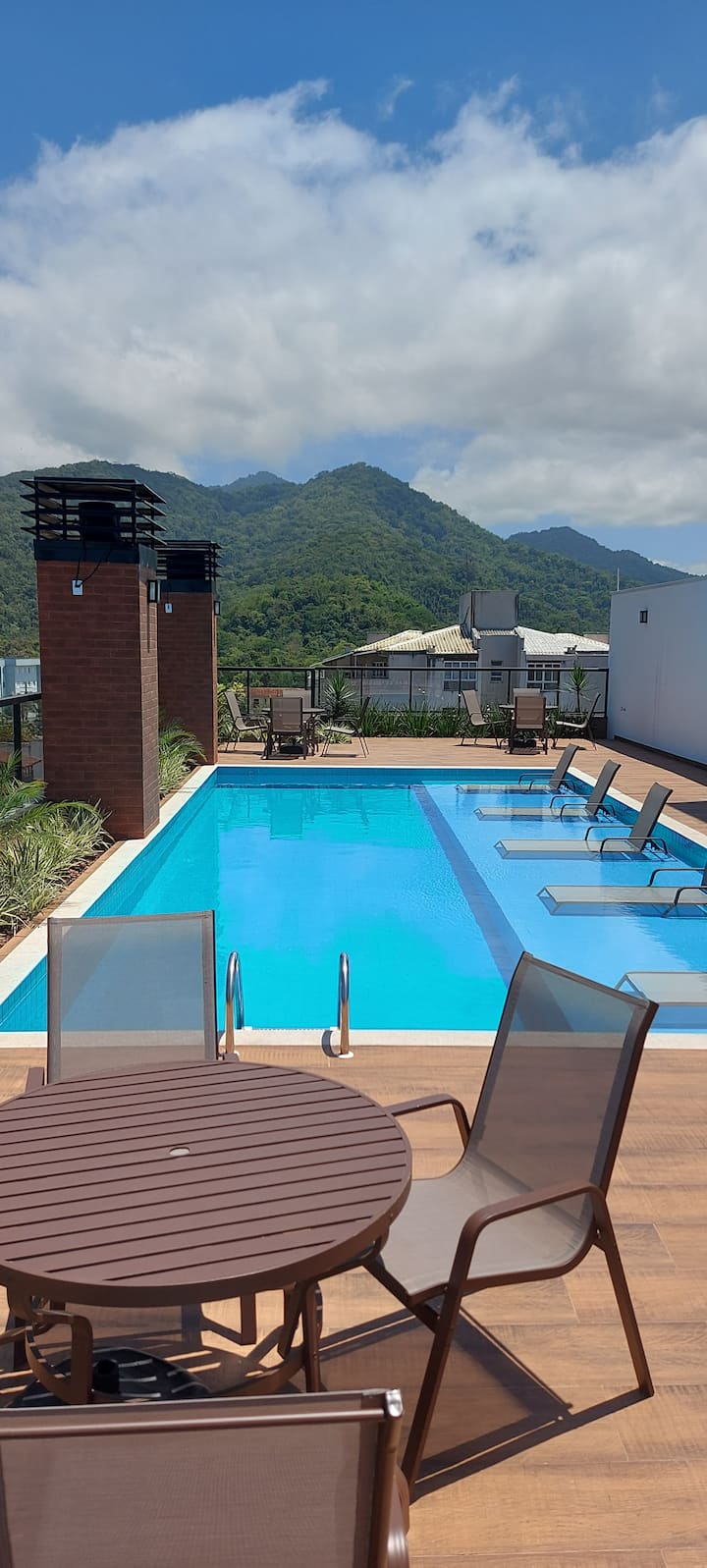 Easy Birds Of The Southeast Ubatuba/brazil - Ubatuba