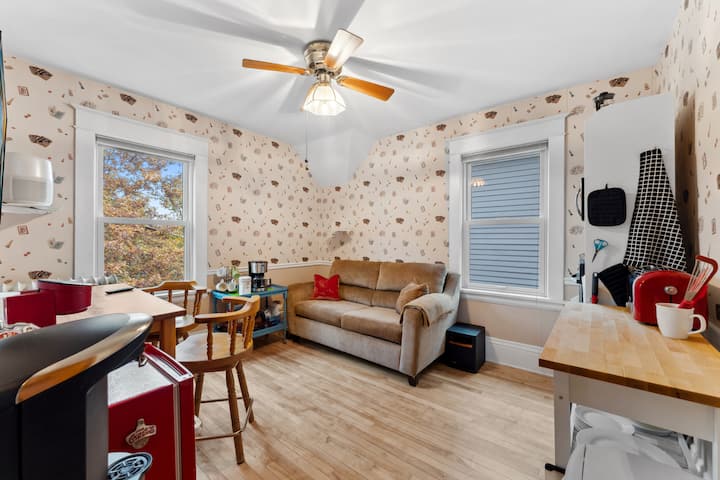 Central, Cozy. Great Value. Near M-h Law, Gc Arena - Saint Paul, MN