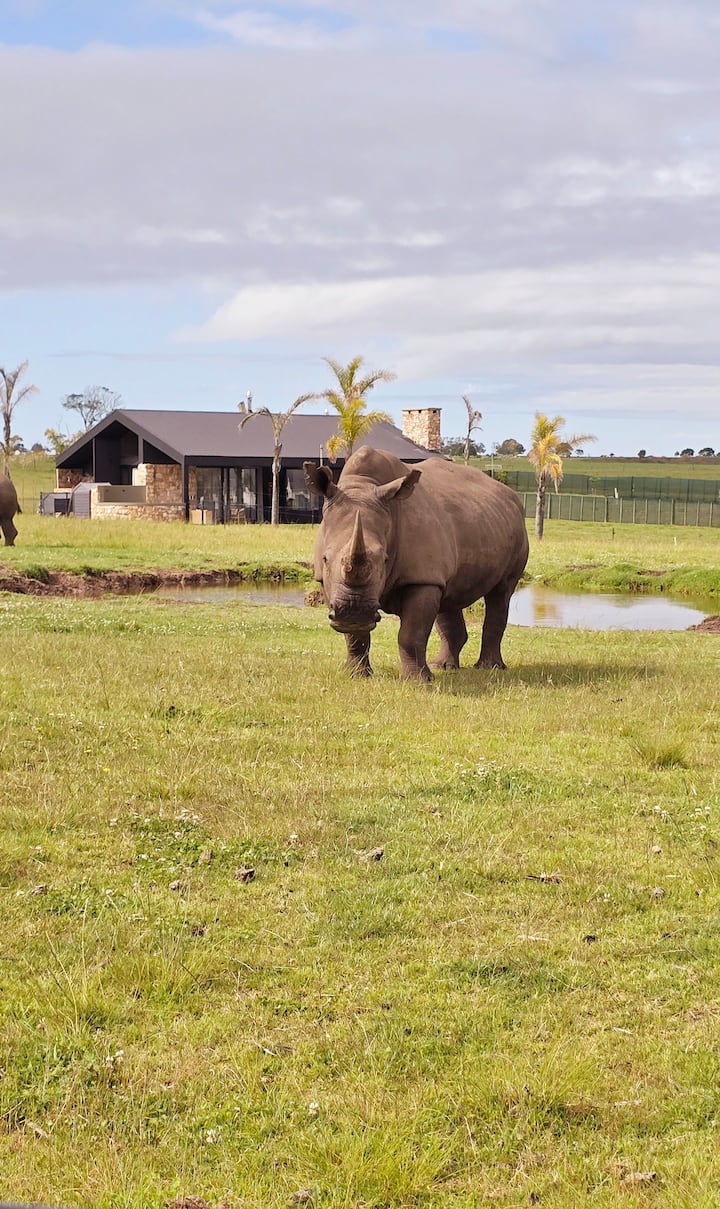 Buff And Fellow Safari Villa 10 - Western Cape