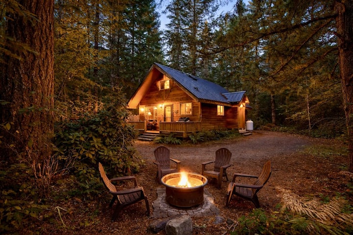 Tahoma Vista-ac/campfire/wifi/hot Tub - Ashford, WA