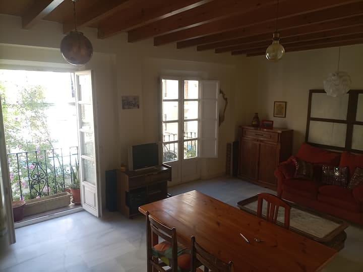 Apartamento Ideal En El Centro - Granada