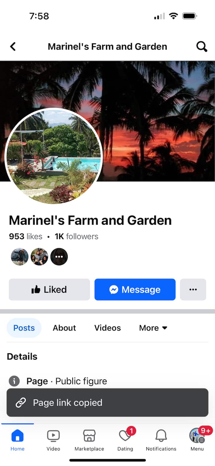 Hilltop Resort & Farmhouse - San Pablo City