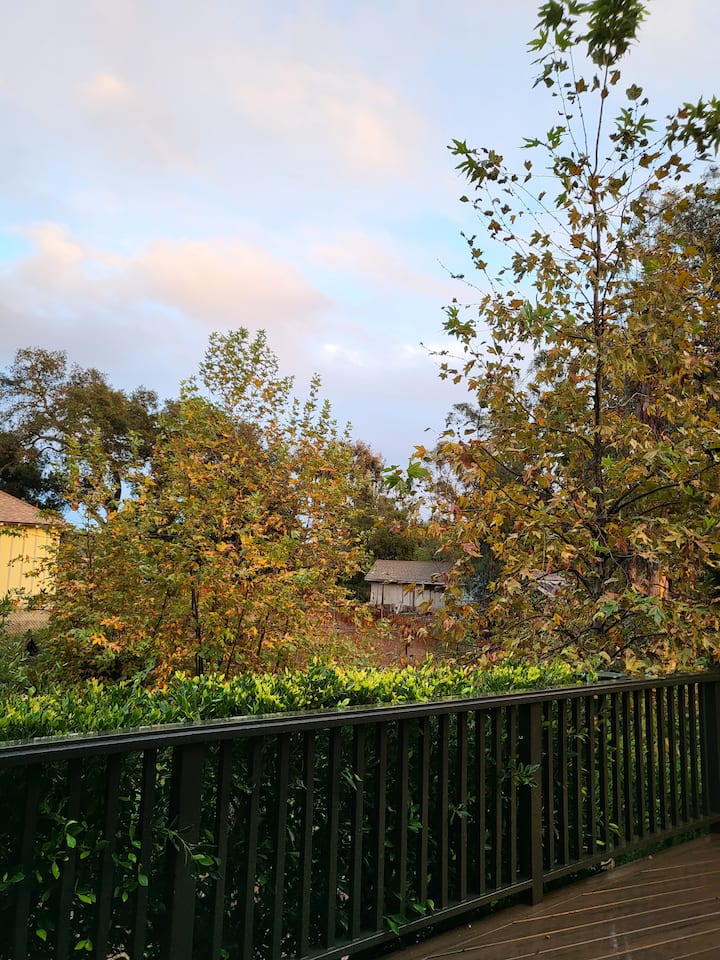 Gated Luxury Estate - Montecito, CA