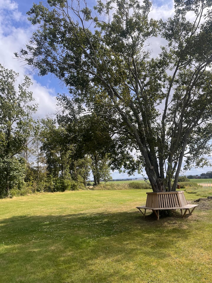 Köpinge 37
Ett Lugnt Paradis Nära Hav Och Puls. - Laholm