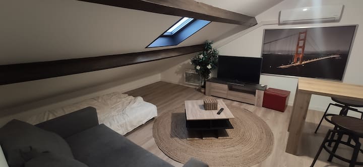 T2 Sous Comble à Toulouse - Toulouse