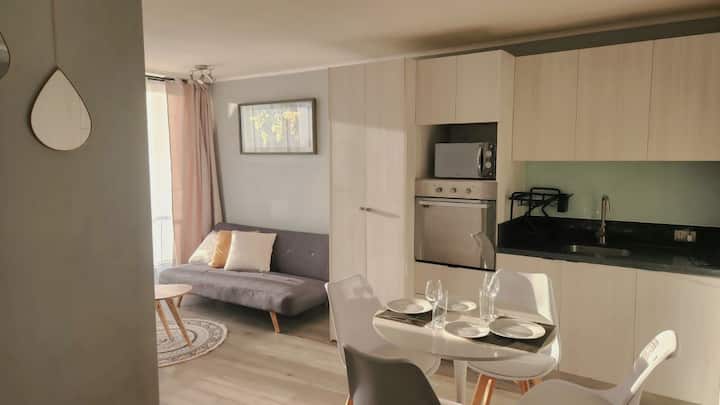 Departamento íNtimo Y Acogedor - Santiago