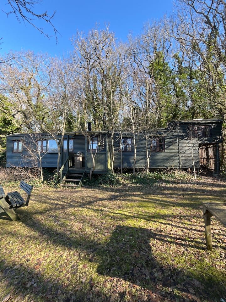 Skovvognen - Denmark