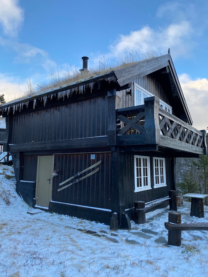 Ski Inn/ut Hytte I Rauland - Norway