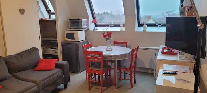 Studio 2 éToiles “Coquelicot”à 900 M Des Thermes - La Roche-Posay