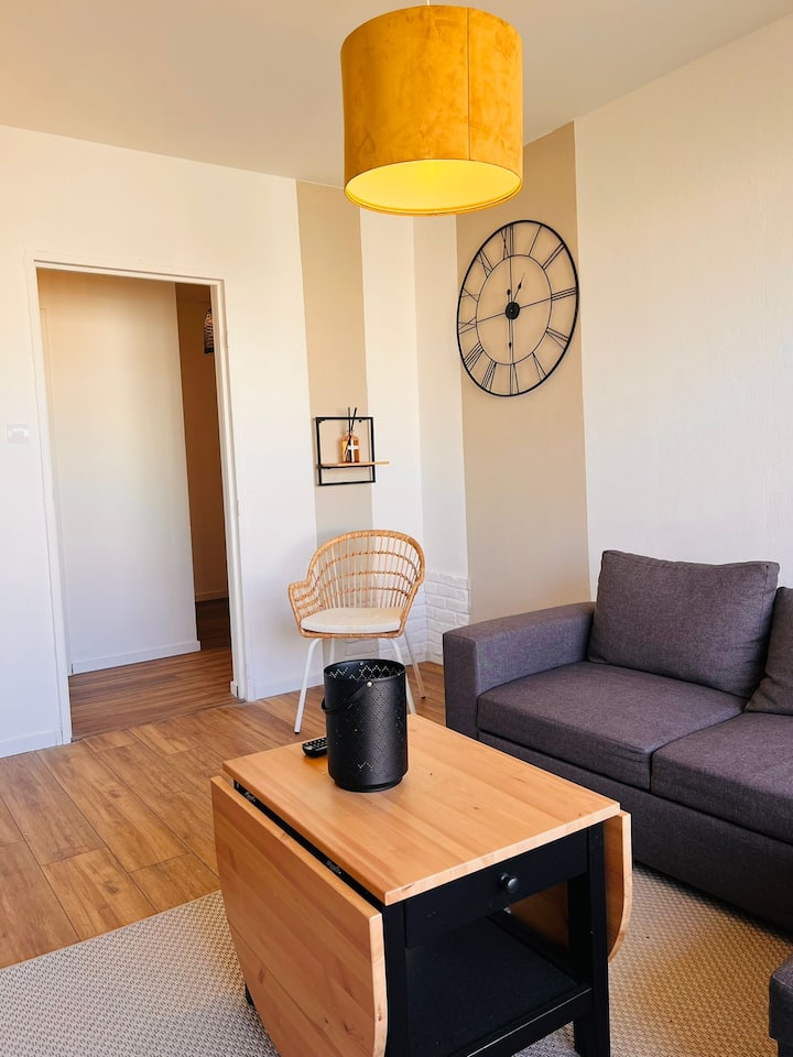 Cosy City - ibis Mulhouse Ile Napoleon