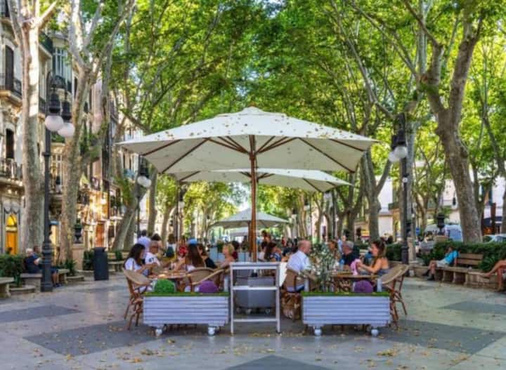 Paseo Del Borne - Palma