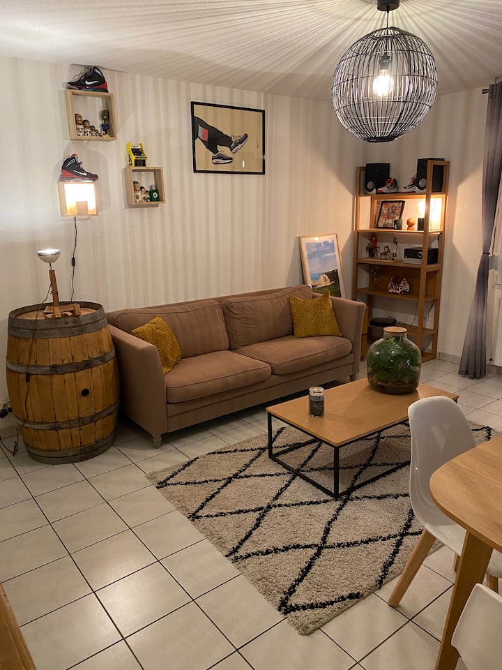 Appartement Centre-ville - Colmar