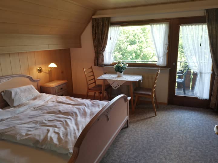 Alpenblick Haus - Titisee-Neustadt