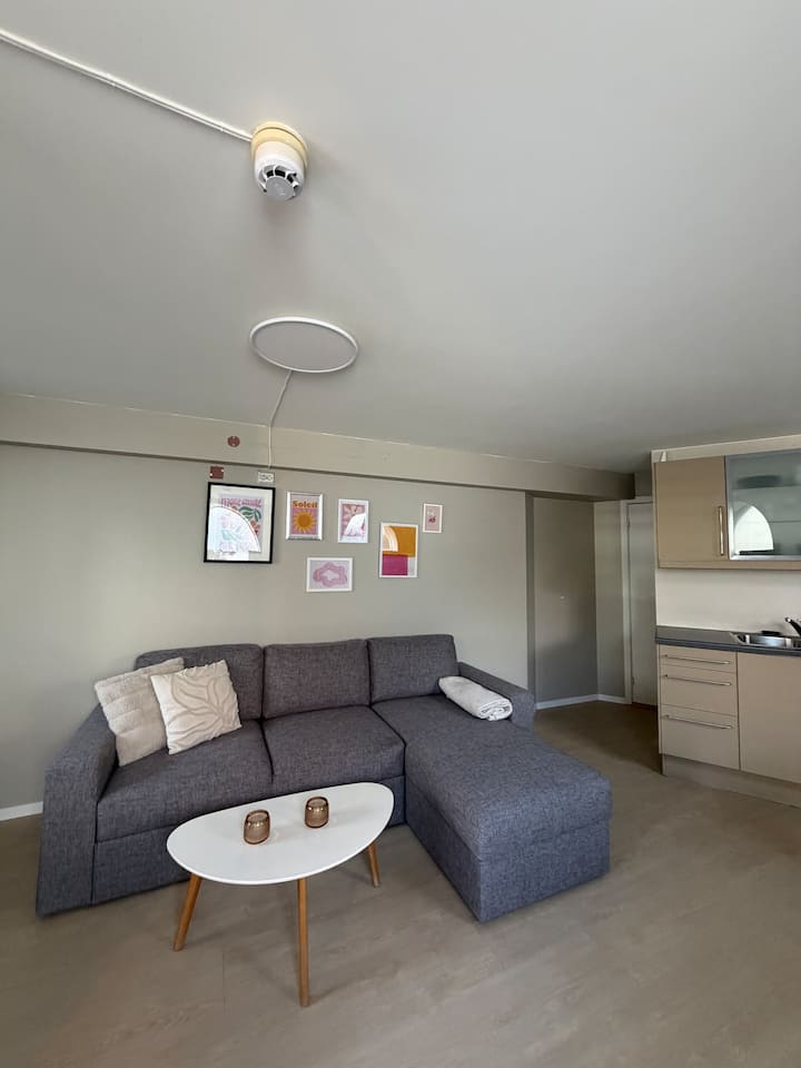 Apartment In City Center - Stavanger