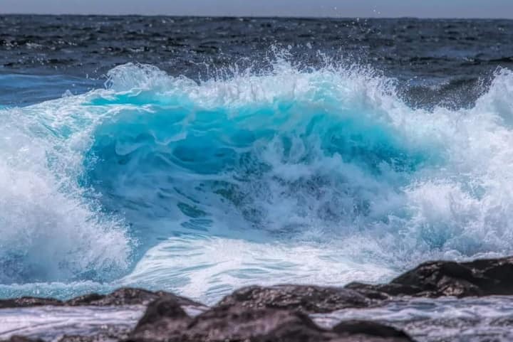 Seaside Shellharbour, 3 Mins Walk To Beach, Lake - Kiama