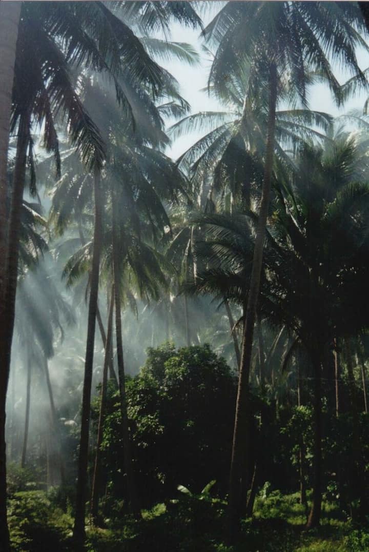 James Bond’s Secret Residence - Gainesville, FL