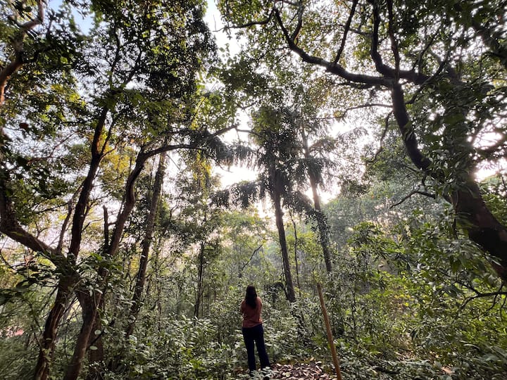Calm Nature Stay In Wilderness - Kankavli