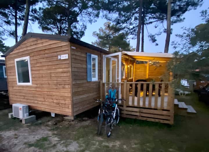 Pins 1779 Centre Naturiste Chm - Vendays-Montalivet