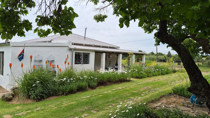 Roosies, Rosendal Free State - Rosendal