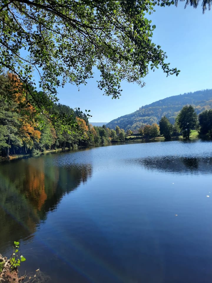 La Clef Des Bois - Cosy Et Calme En Pleine Nature - Lac Blanc