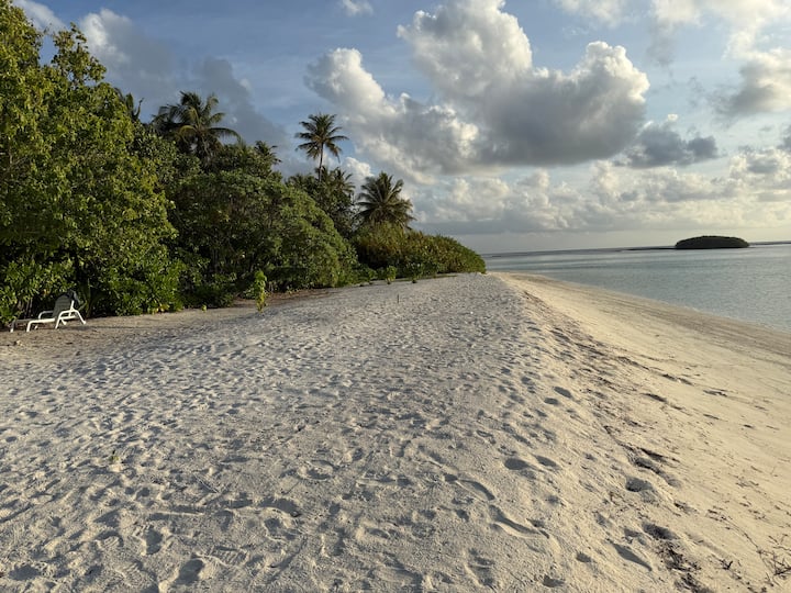 Coconut Palm Dhidhoo - Maldives