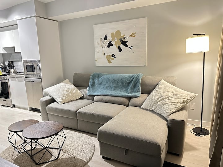 Clean And Bright 2 Bed W/parking & Gym - Toronto