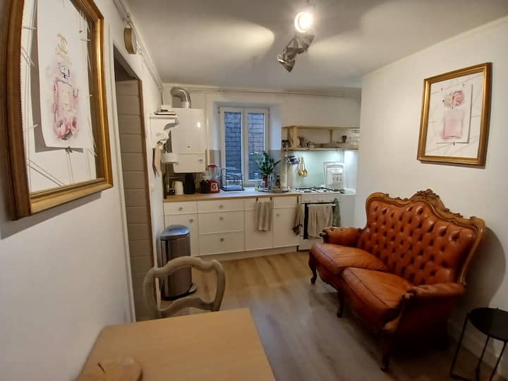 Petit 3p Cosy à Deux Pas Du Centre - Felletin