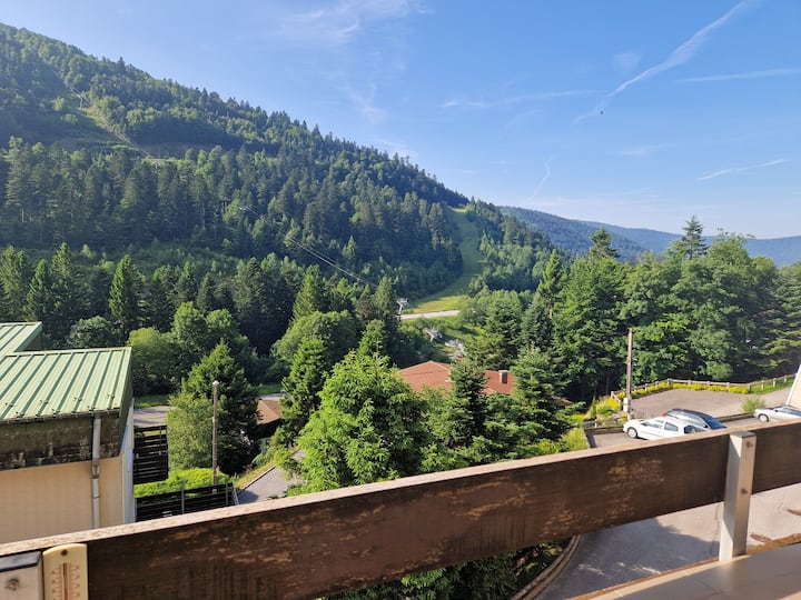 La Bresse Hohneck 50 M2. 6 Pers - La Bresse