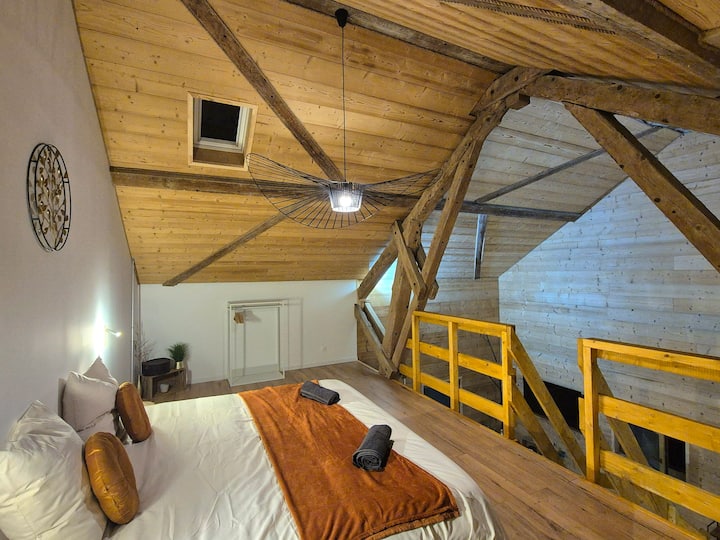 Gîte Du Château - Jaccuzzi - Mulhouse