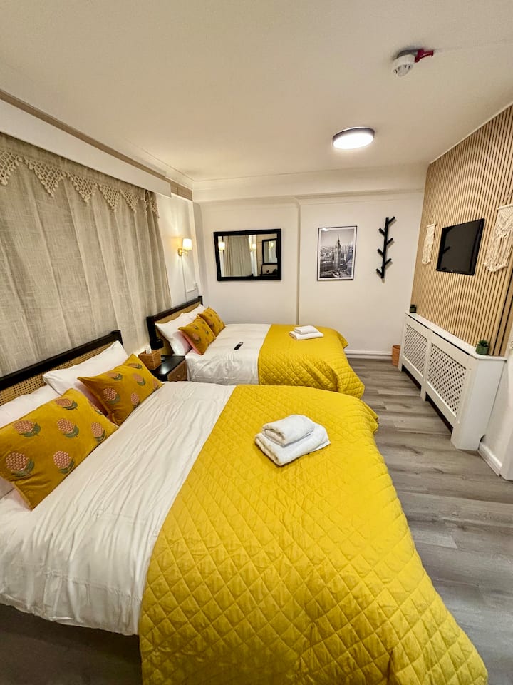 Deluxe Flat Central London Sleep4 - Londres