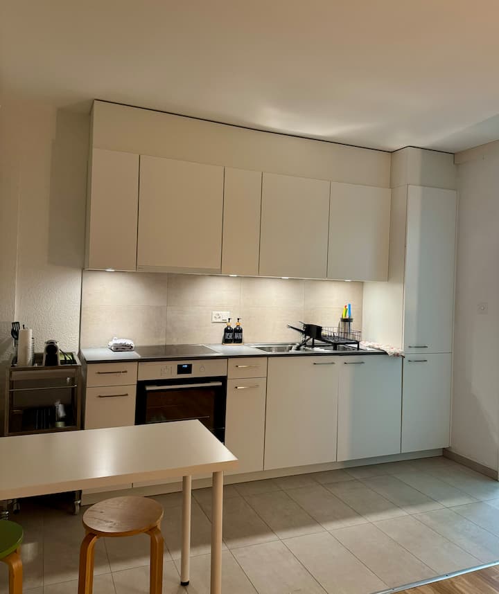 Bel Appartement Moderne Au Centre De Genève - Geneve