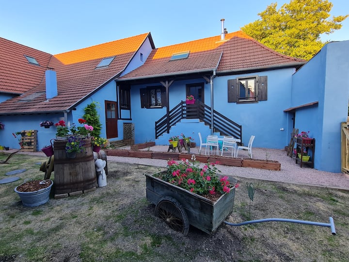 Gîte La Ferme Des Délices - Elsass