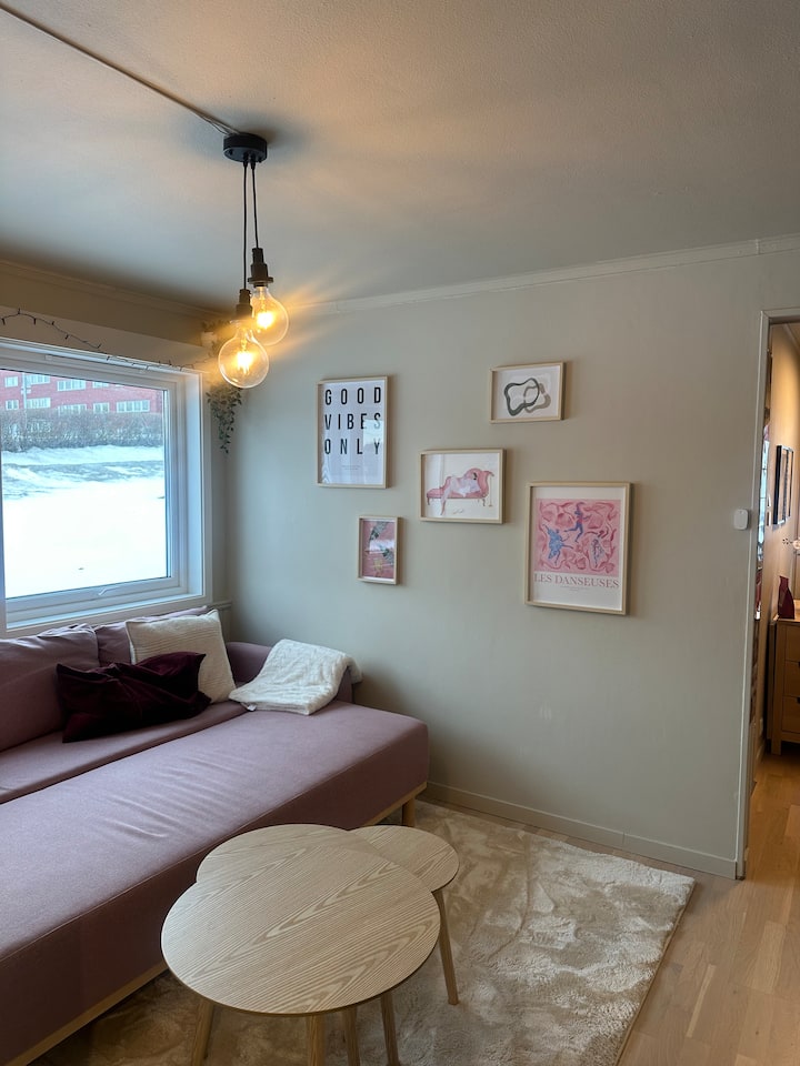 Koselig 3-roms Leilighet På Nardo (Langtidsleie) - Trondheim