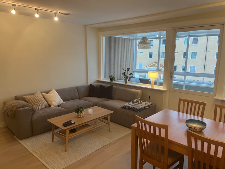 Attraktiv Leilighet I Trondheim By - Trondheim