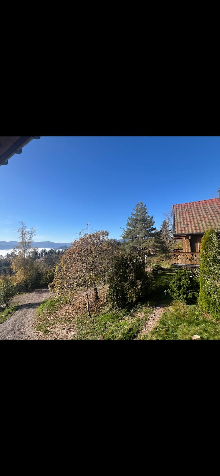 Chalet Entier 800m Plein Sud - Munster