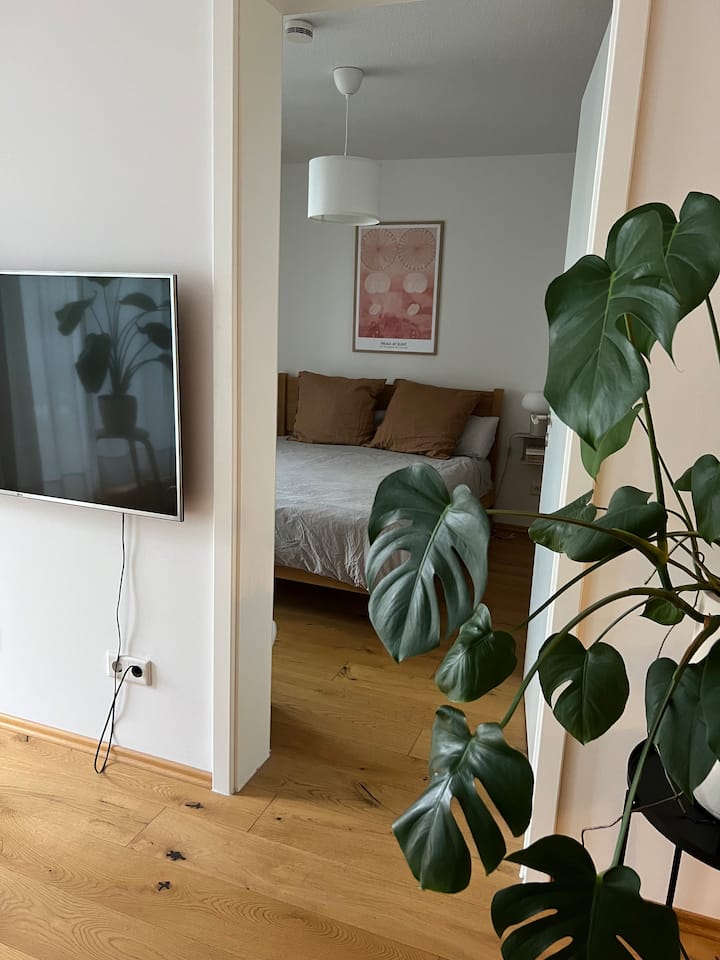 Modern Apartments In Nuremberg - Nuremberga