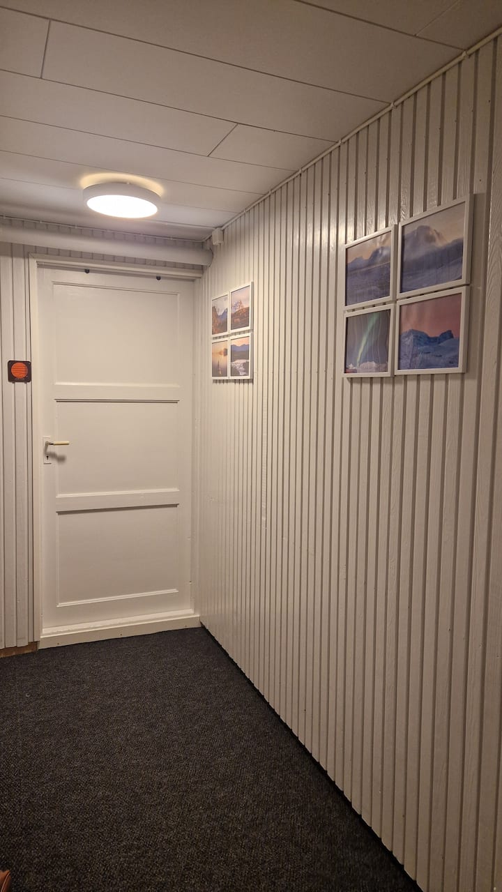 Spacious Basement Room - Kiruna