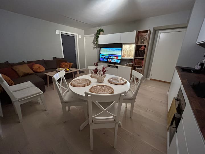 Oslo Sentrum, Ny Leilighet Med Kort Vei Til Alt - Oslo