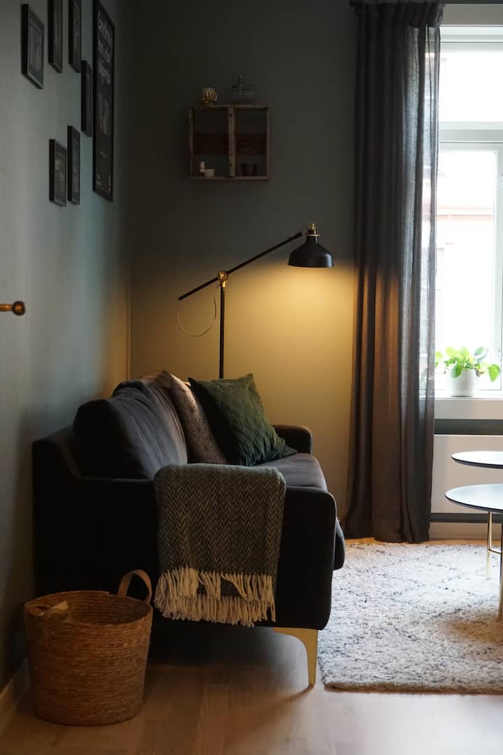 Koselig Leilighet Med Balkong - Oslo