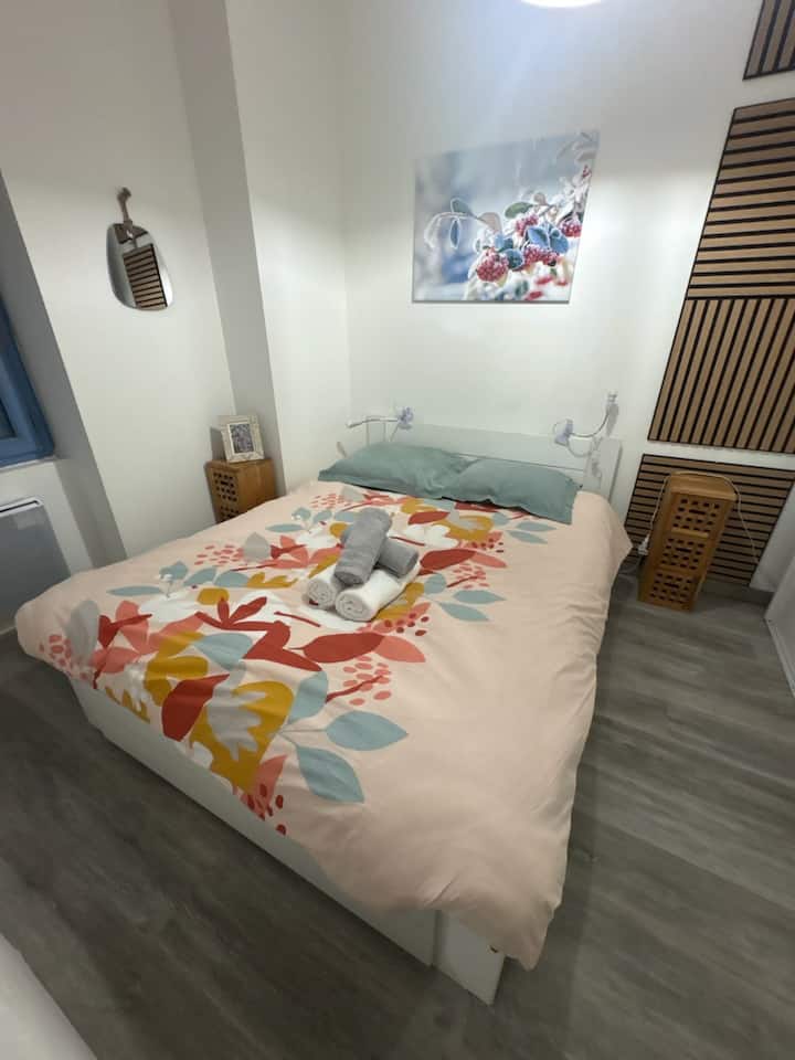 T2 Classé, Sdb Séparée, Cœur D'ax-les-thermes - Ax-les-Thermes