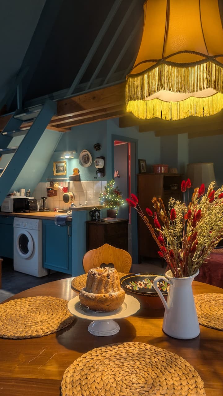 Appartement "La Nuée Bleue" - Strasbourg
