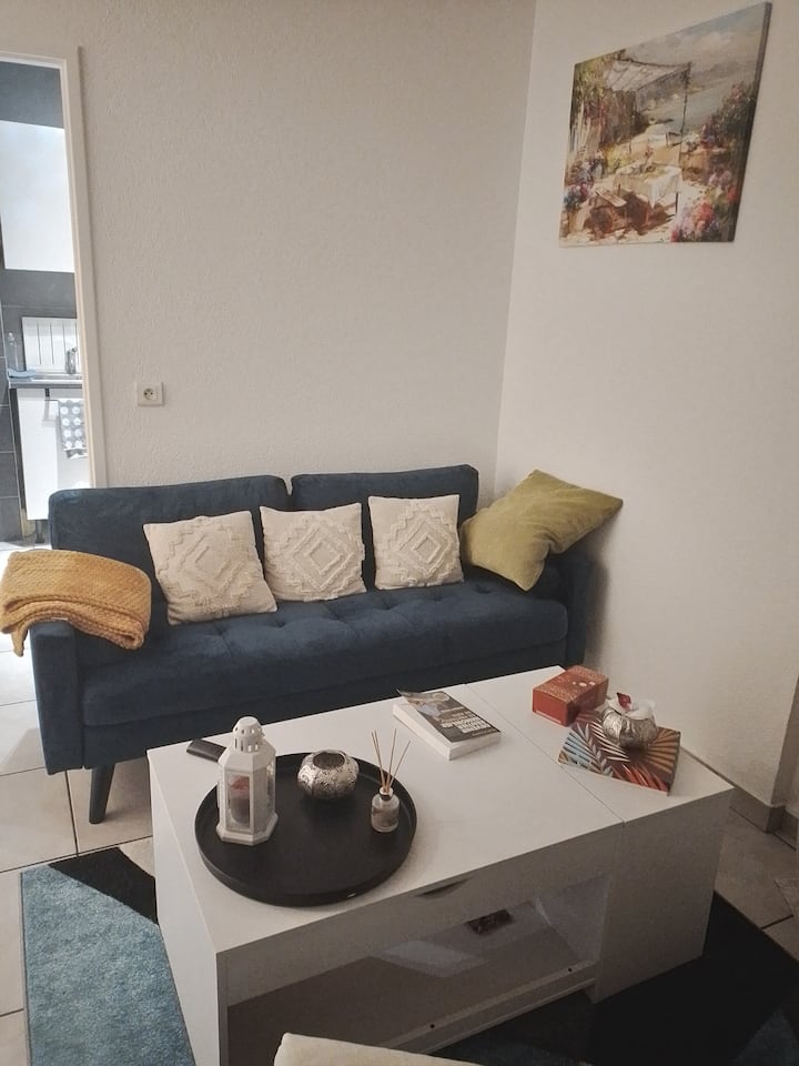 Agréable Appartement Mulhouse - Illzach