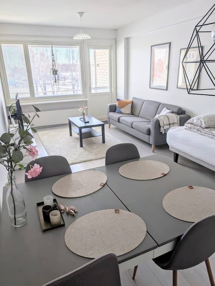 Viihtyisä Ja Iso Kaksio+parveke, Kemin Keskustassa - Kemi