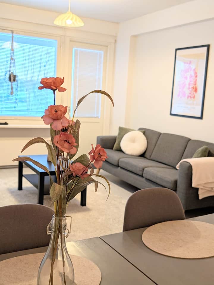 Viihtyisä Ja Iso Kaksio+parveke, Kemin Keskustassa - Keminmaa