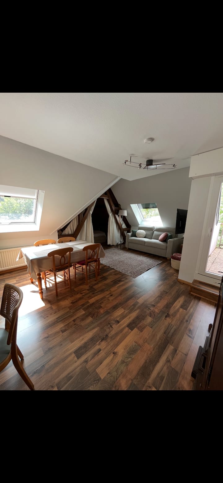 Appartement 36m2 Au Coeur De Kaysersberg - Riquewihr